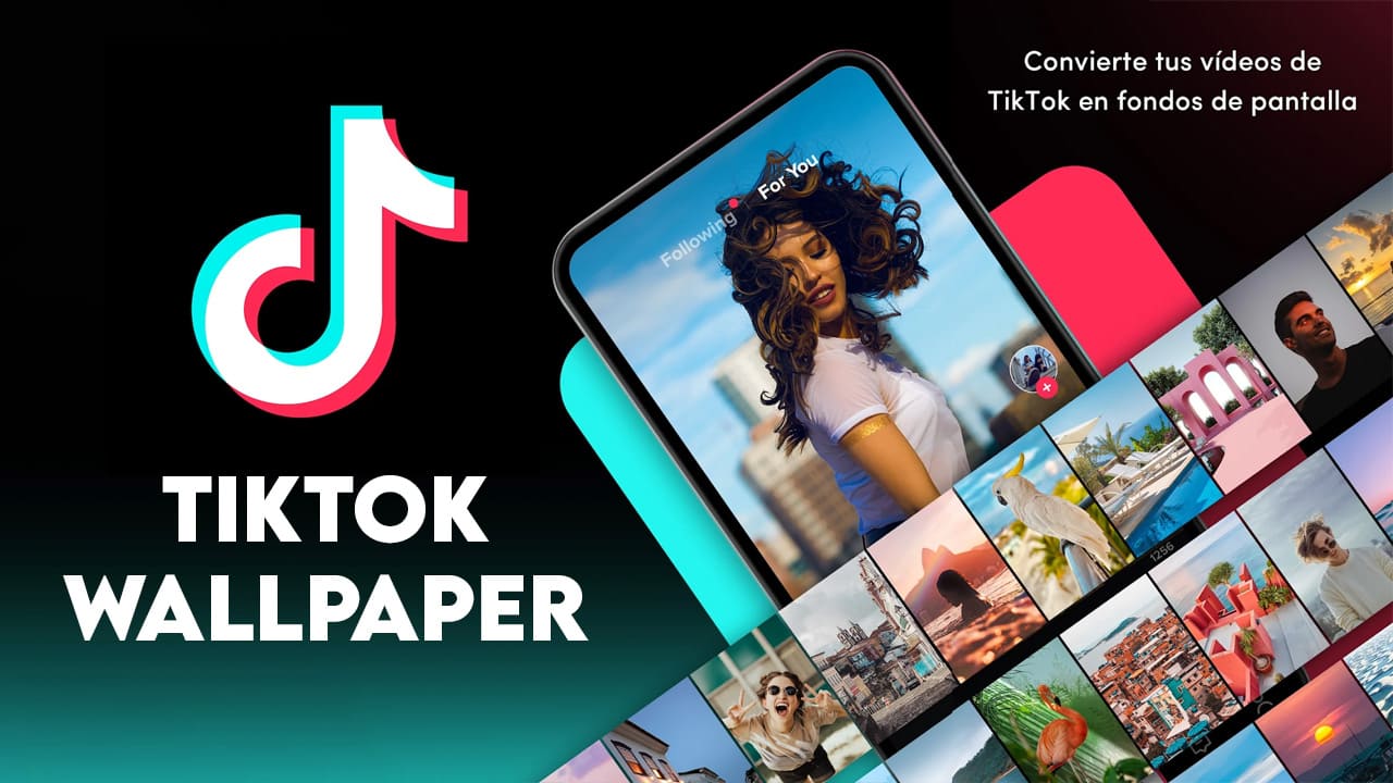 Fondo de Pantalla con Video en Movimiento - Tiktok Wallpaper 4K - Eduuolvera